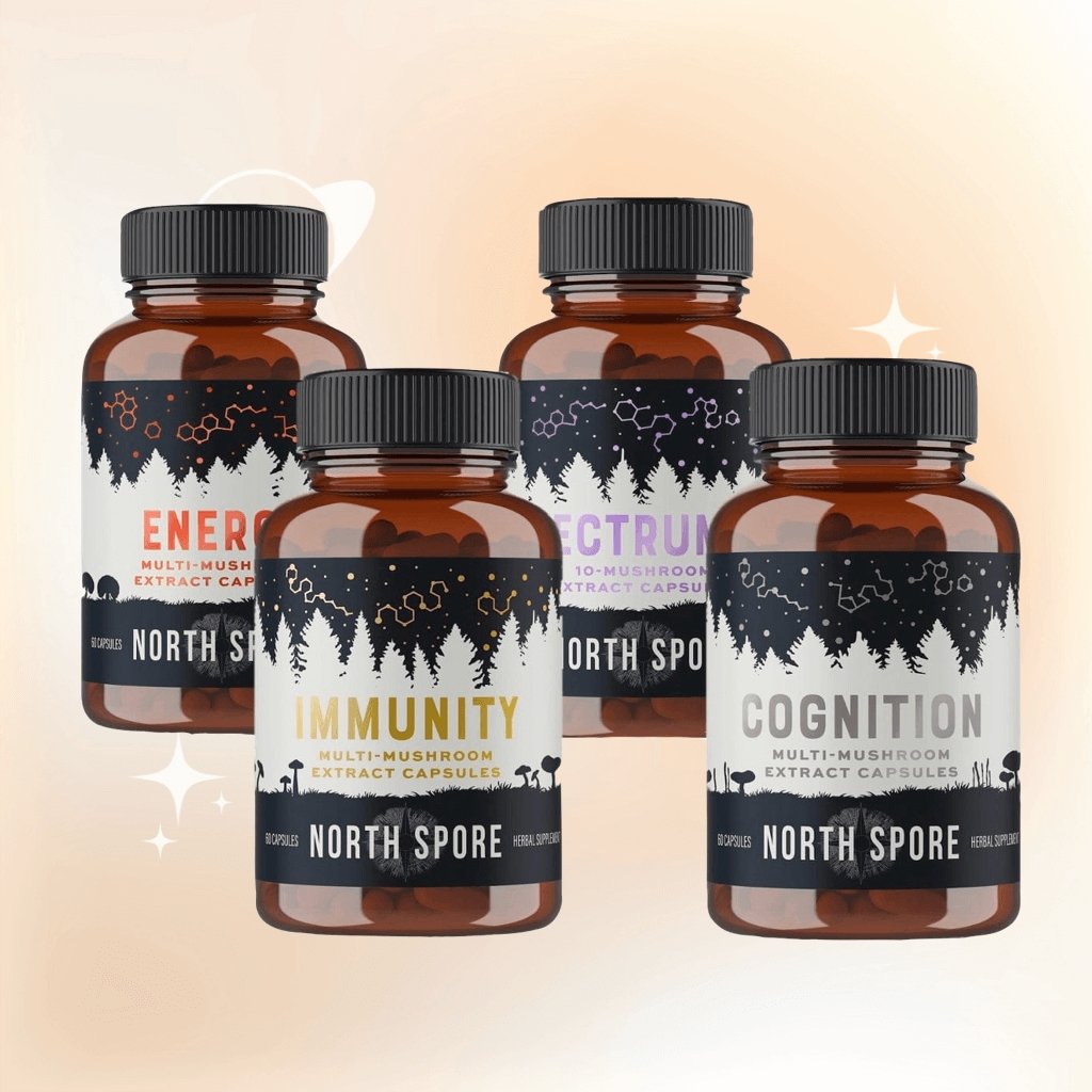 North Spore – Multiverse