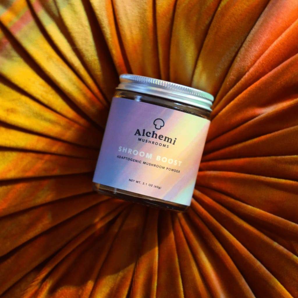 Alchemi Shroom Boost – Multiverse