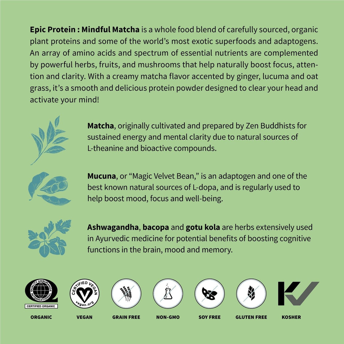 Sprout Living Epic Protein, Mindful Matcha, Box (16 singles) – Multiverse